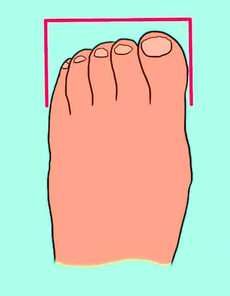 Types of Toes