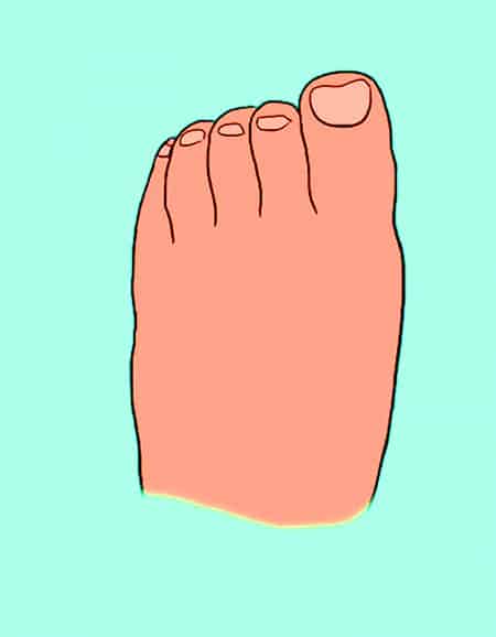 Types of Toes